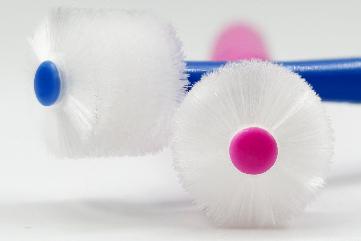 Hard Bristles Clean Better: The Dangerous Myth – Dandelion